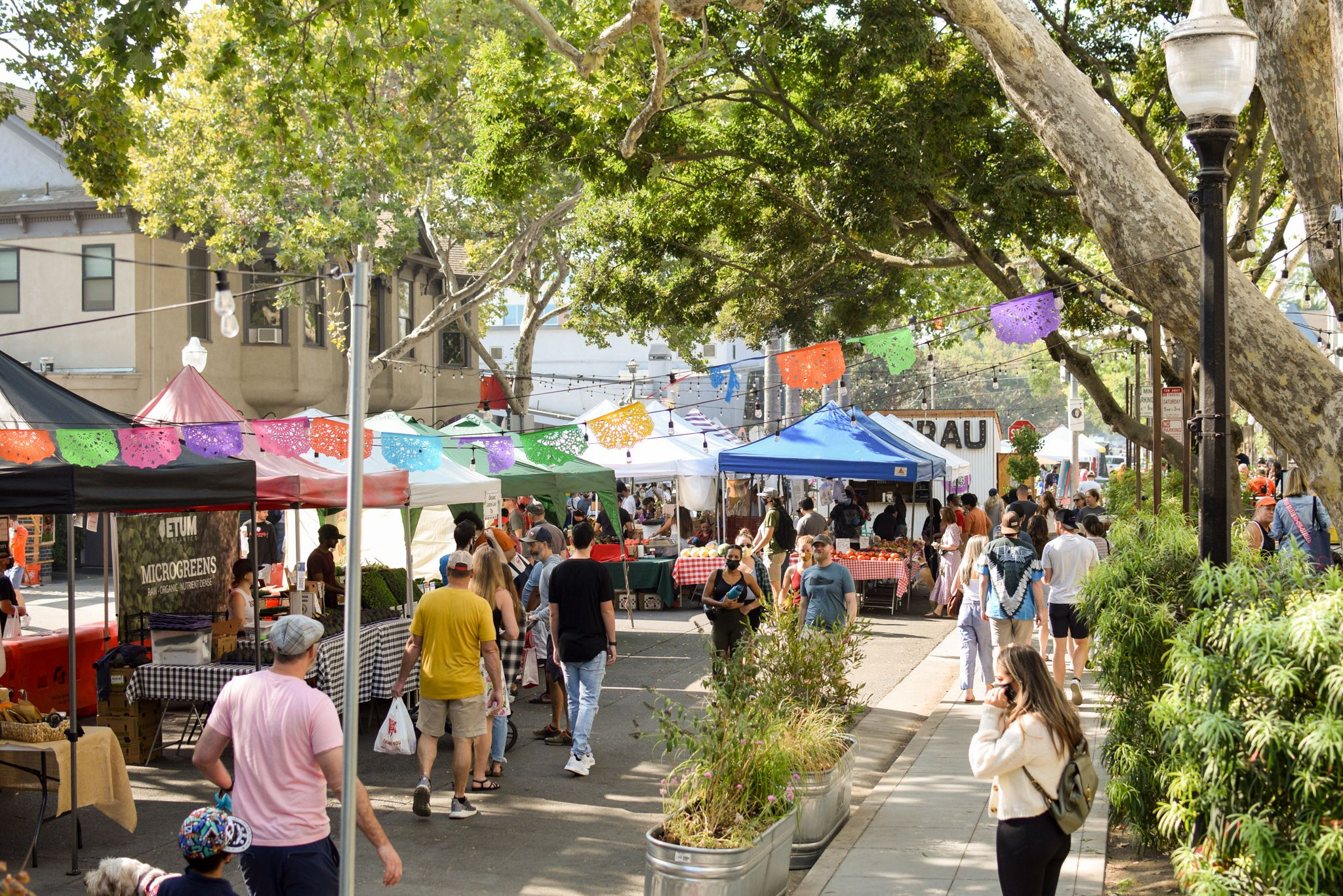 10 Reasons Why You Should Live in Midtown - Midtown Association
